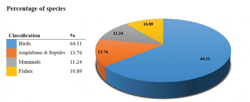 Species Database | Bhutan Biodiversity