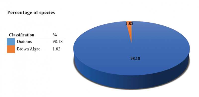Species Database | Bhutan Biodiversity